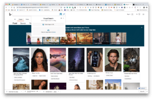 Your Brand is too Similar to other Marks? Do a Reverse Logo Search